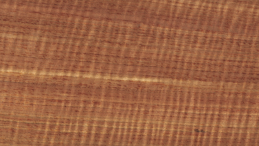 Piallacci di legno, Vendita Online - Seralvo.com