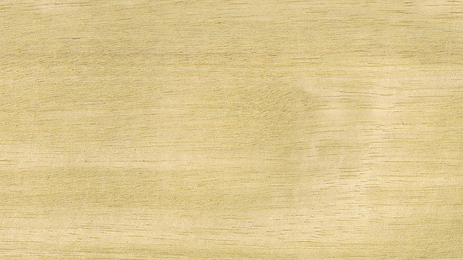 Piallacci di legno, Vendita Online - Seralvo.com