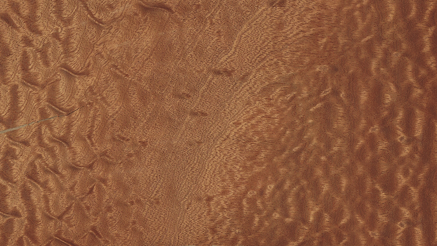 SAPELI POMELÈ - Seralvo Srl